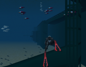 Towards building a diving simulator for organizing dives in real ...